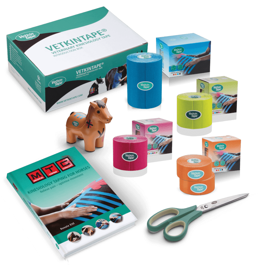 Kinesiology Tape for Animals | VetkinTape® for Equine & Canine Use